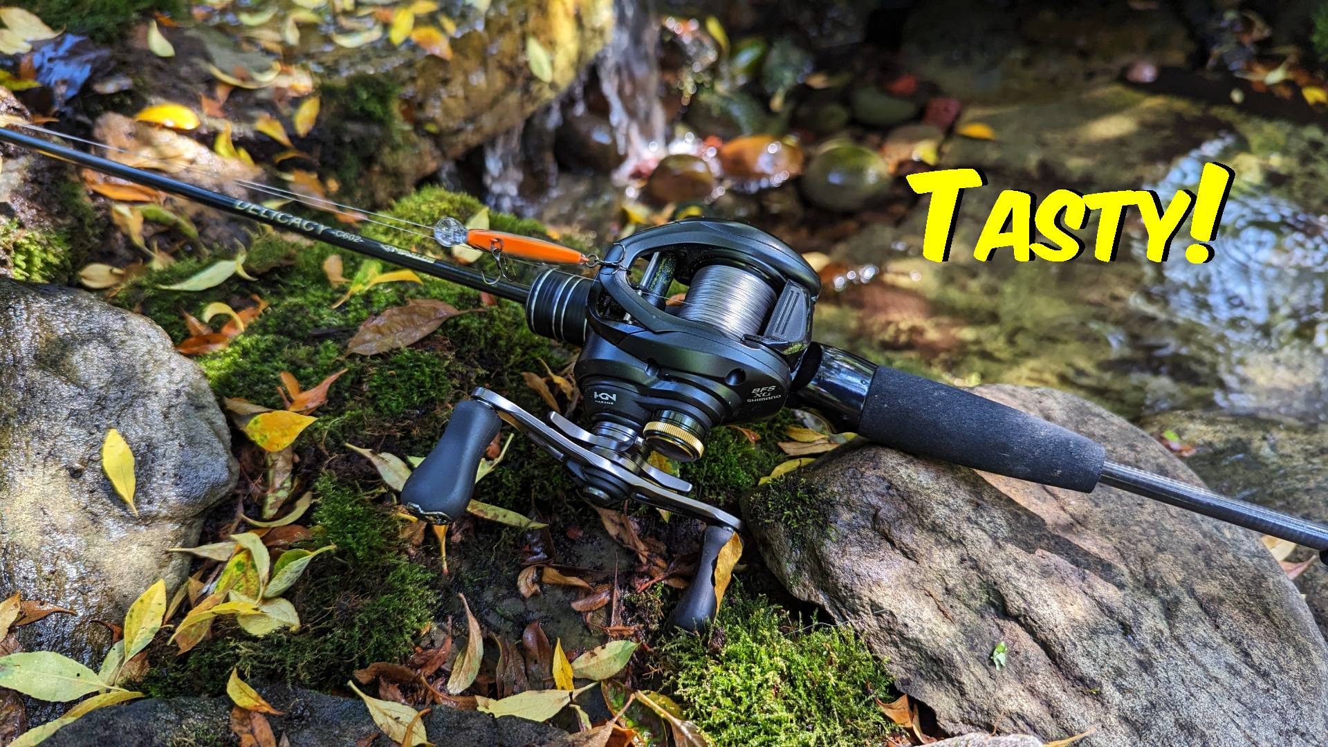 Exploring the Mavllos Delicacy Rod - The Ultimate Budget Fishing Rod ...