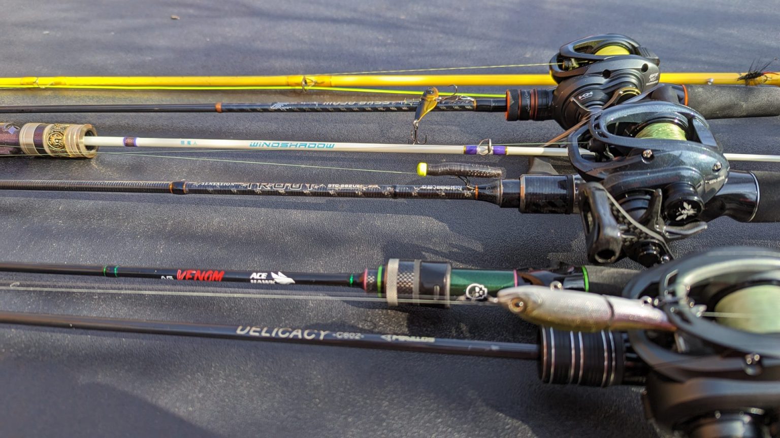 Is the Ace Hawk Venom BFS Rod Worth the Hype? Long-Term Review Reveals ...