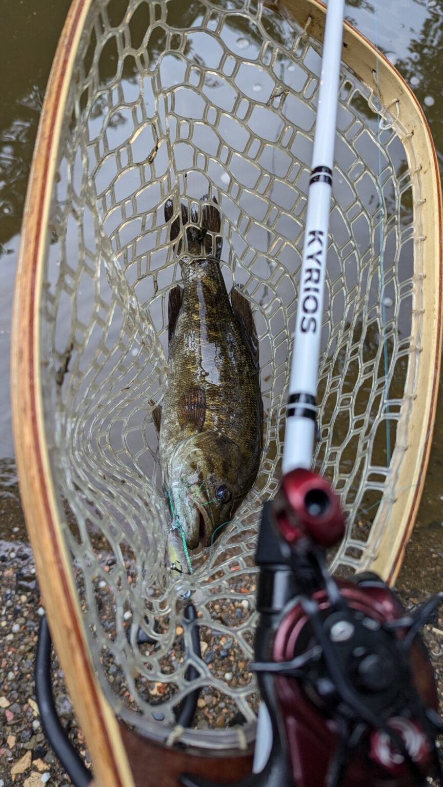 BFS Rod Selection: How to Choose the Perfect BFS Rod - The Best Bait ...