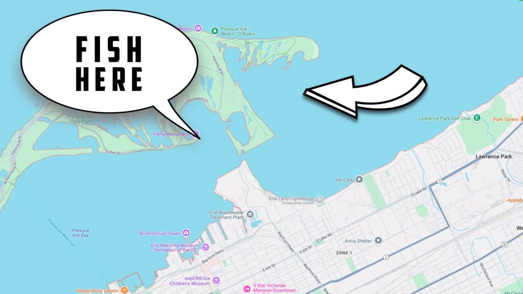 Best Bait Finesse Combo: My Top 16 BFS Rod and Reel Combos for 2024 ...