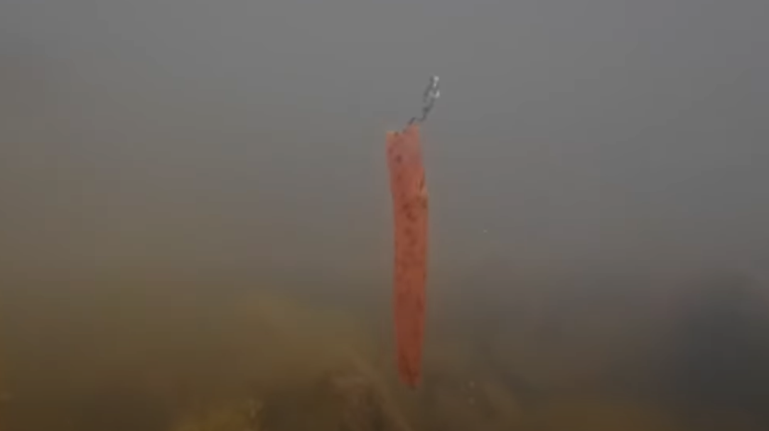 8 Plastic Worm Rigs to Catch More Bass